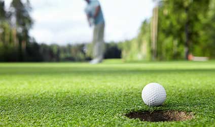 Nova Inn Edson Area Information| Novahotel Inn Edson