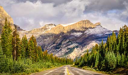 Nova Inn Edson Area Information| Novahotel Inn Edson